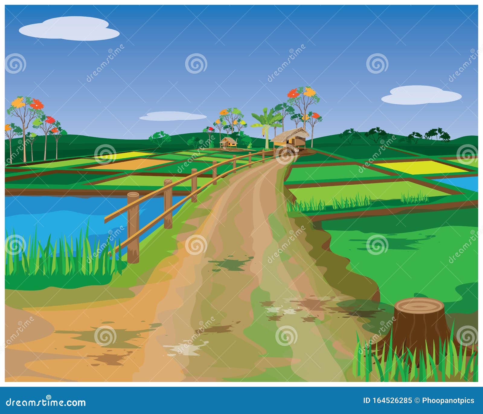Paddy field vector design stock vector. Illustration of vector - 164526285