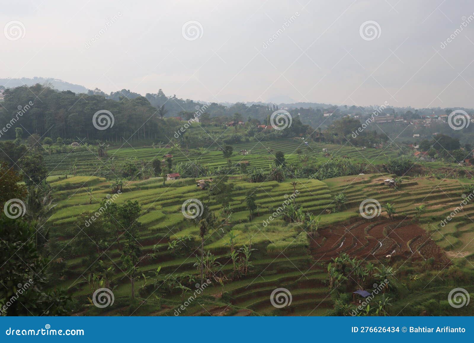 Paddy Fields in Bandung Use the Terracing Method Stock Photo - Image of ...