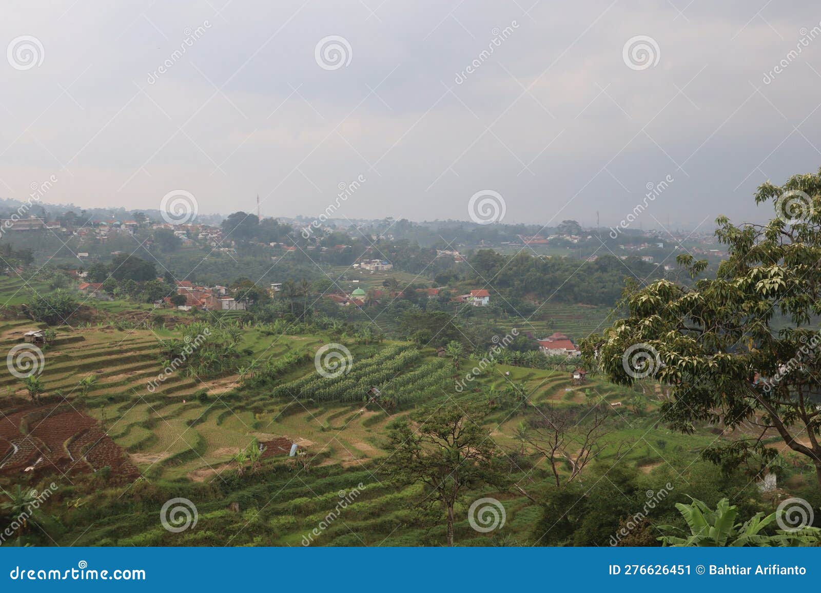 Paddy Fields in Bandung Use the Terracing Method Stock Image - Image of ...