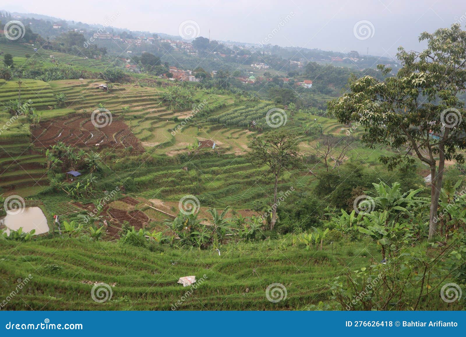 Paddy Fields in Bandung Use the Terracing Method Stock Photo - Image of ...