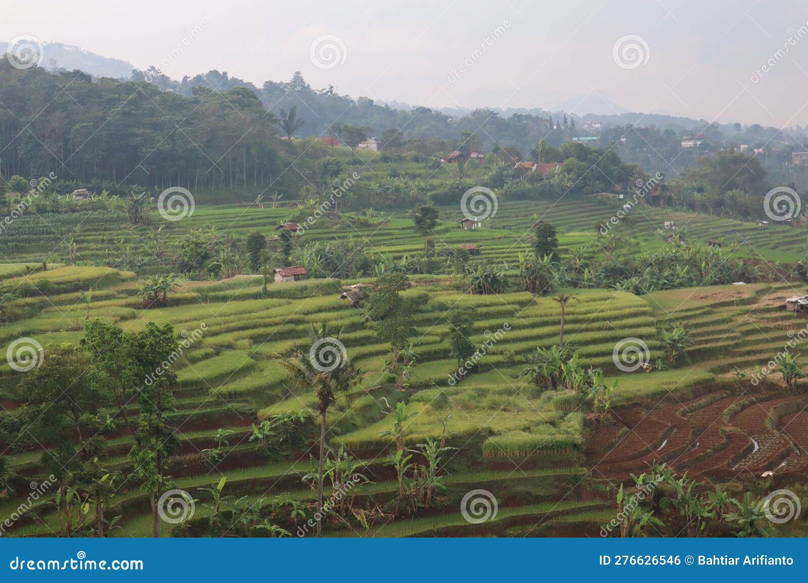 Paddy Fields in Bandung Use the Terracing Method Stock Photo - Image of ...
