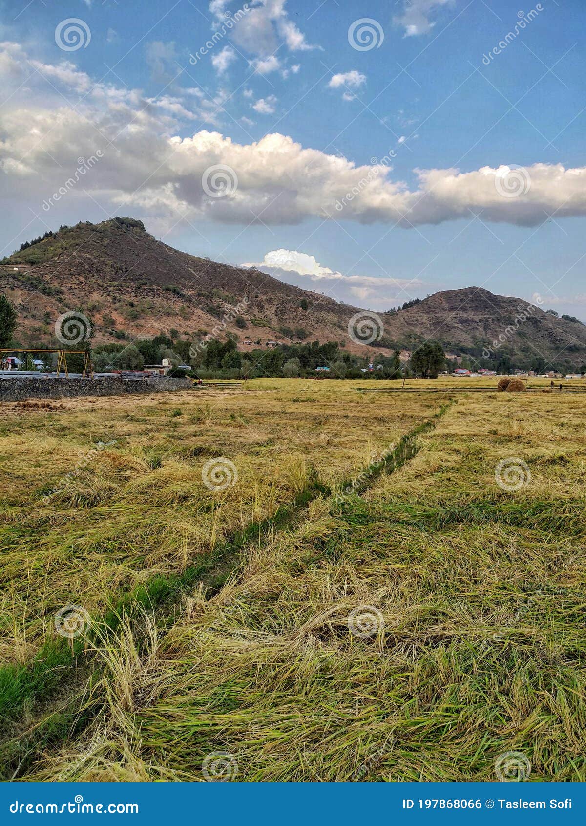 Watlab Kashmir Stock Photos - Free & Royalty-Free Stock Photos from ...