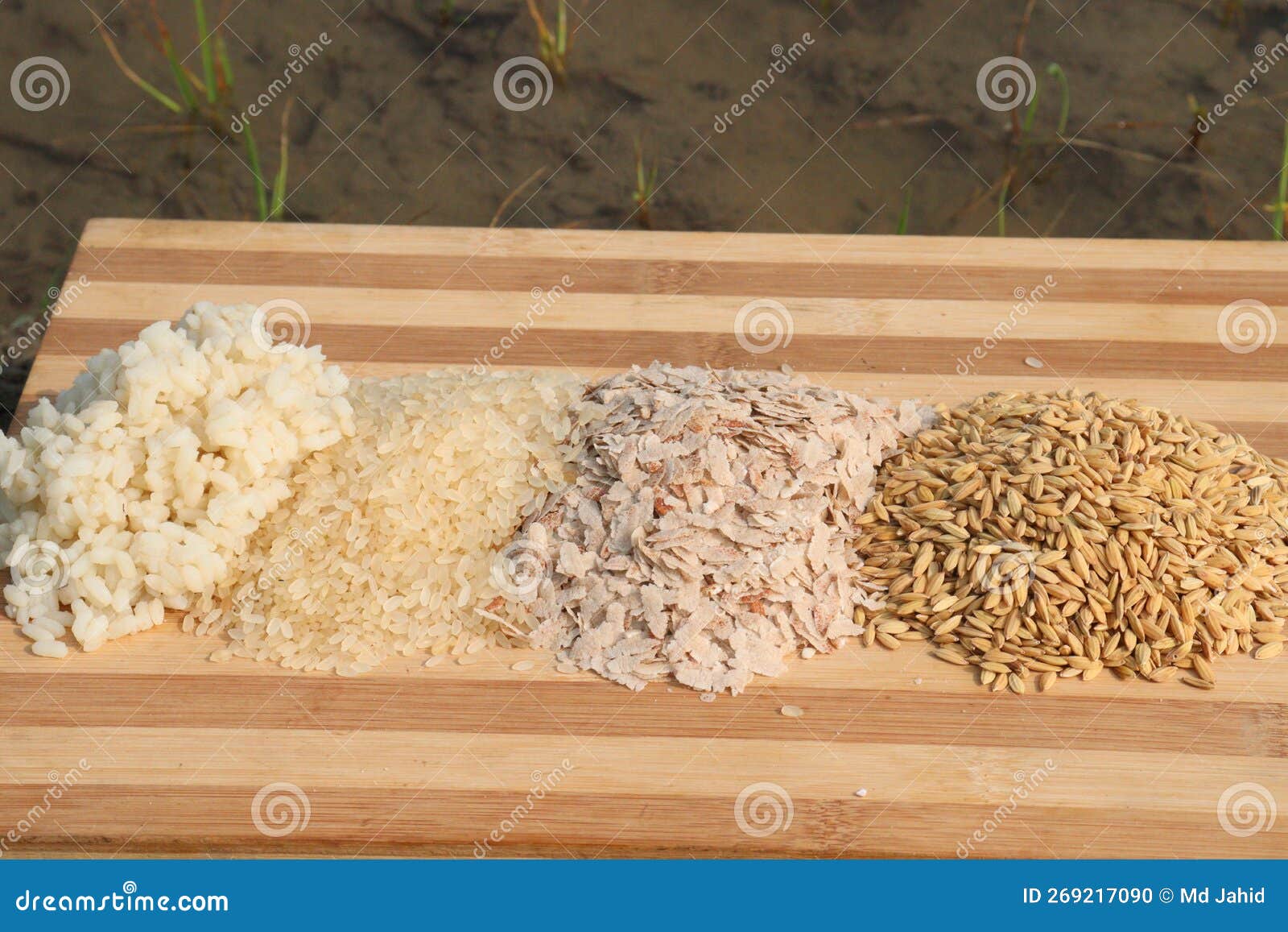 Paddy and Flattened Boiled Dry Rice on Bamboo Table Stock Photo - Image ...