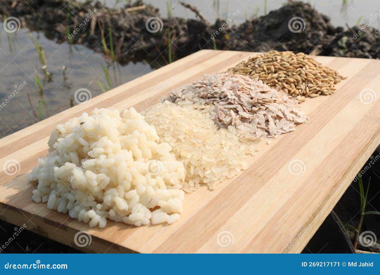 Paddy and Flattened Boiled Dry Rice on Bamboo Table Stock Image - Image ...