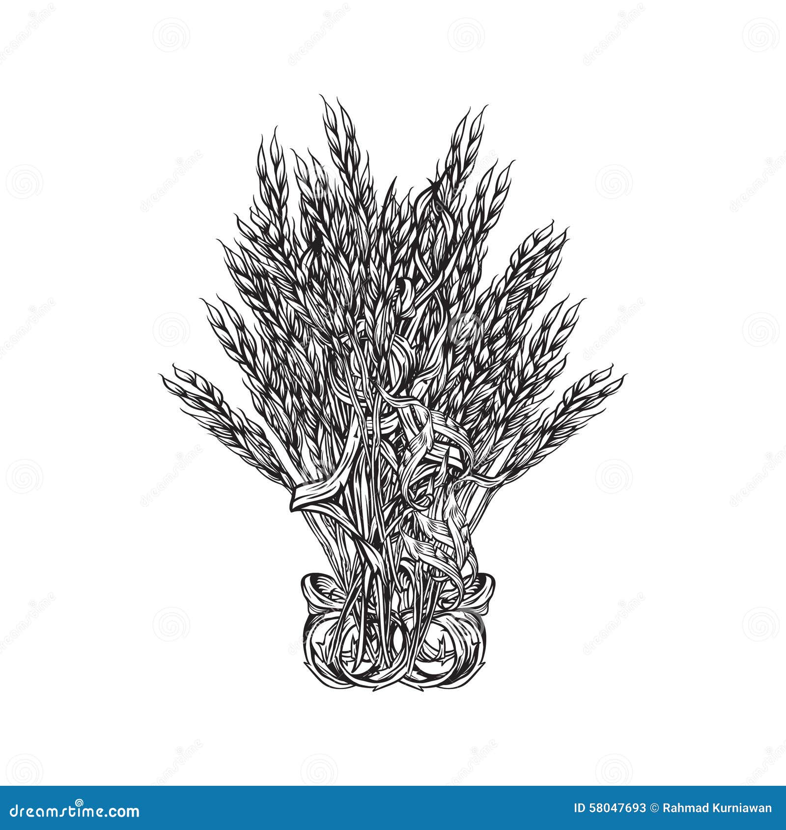 Paddy Grass Vector Bouquet | CartoonDealer.com #58047693