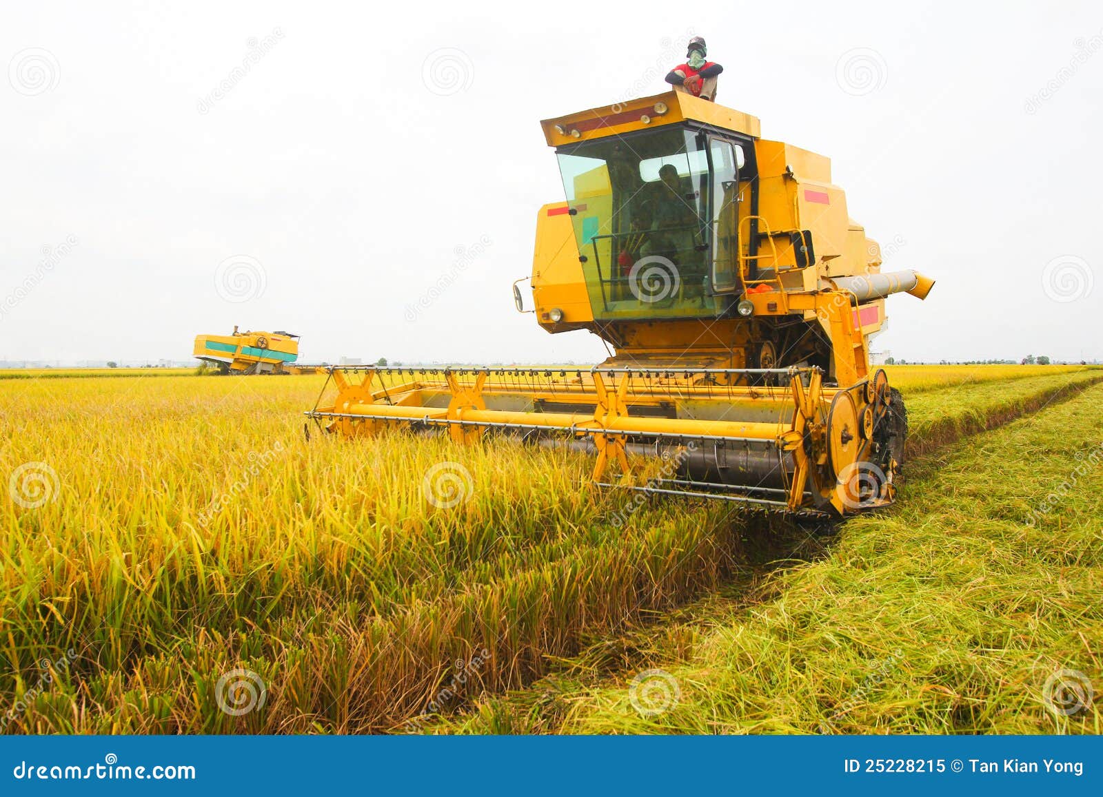 Paddy Harvester Machine