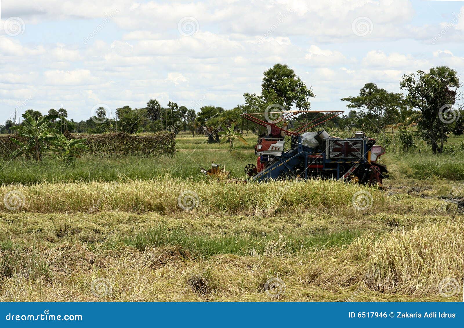 Paddy Harvesting Machine Picture. Image: 6517946