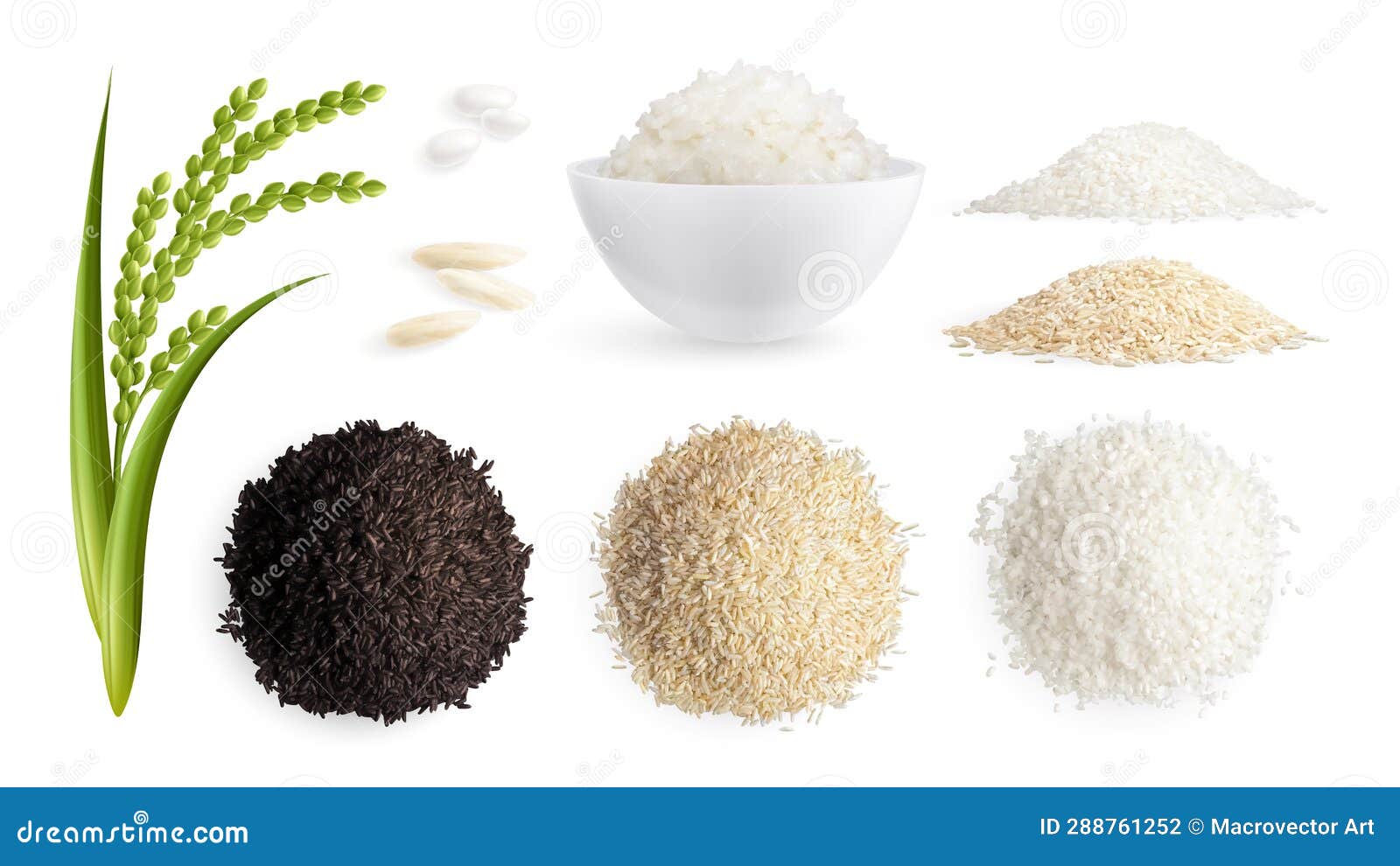 Rice Of Different Types. Heap Of Grains Of Red Rice, Long Basmati Rice ...