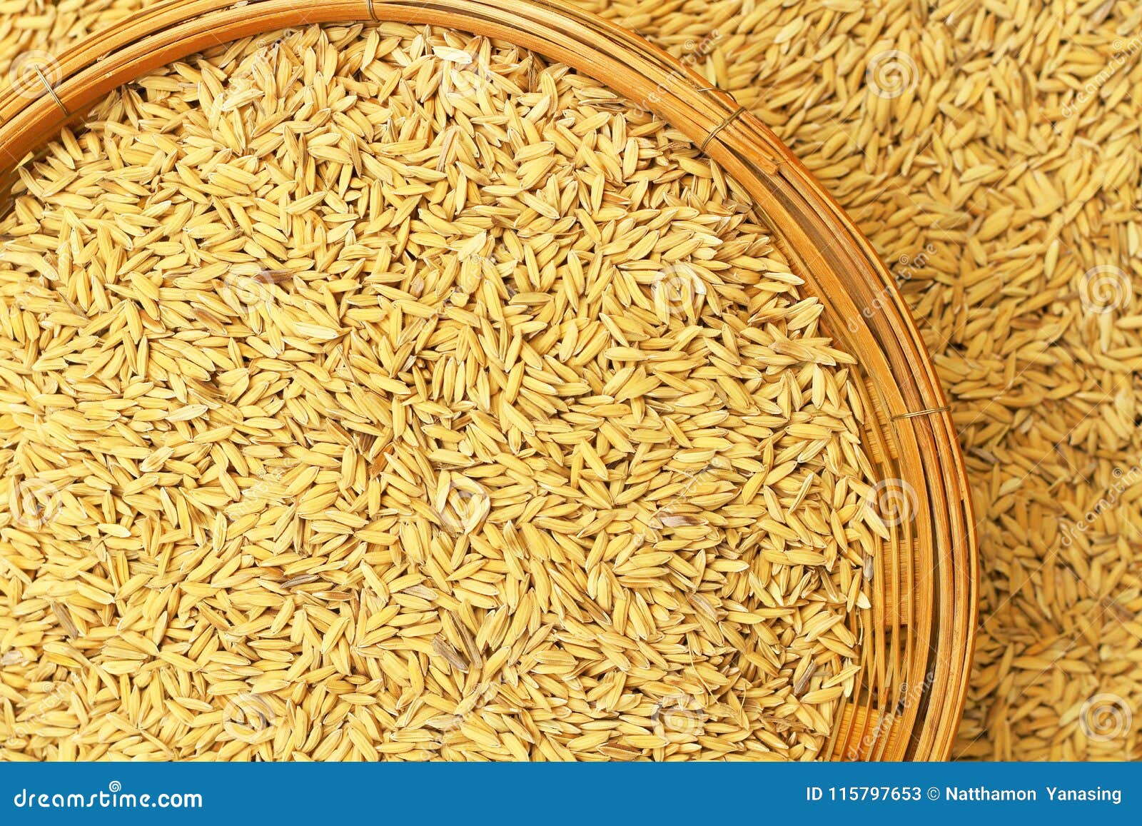 Paddy Rice in Bamboo Basket Stock Image - Image of basket, seed: 115797653