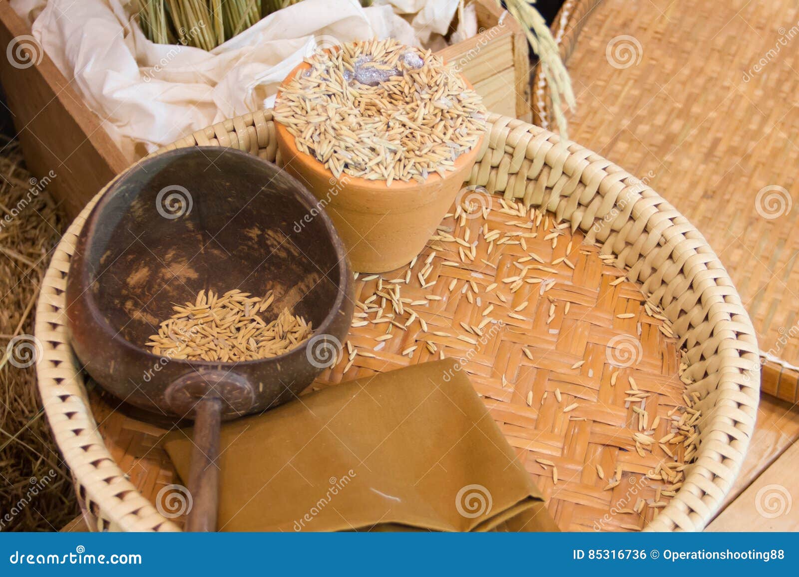 Paddy rice on basket stock photo. Image of asian, cereal - 85316736