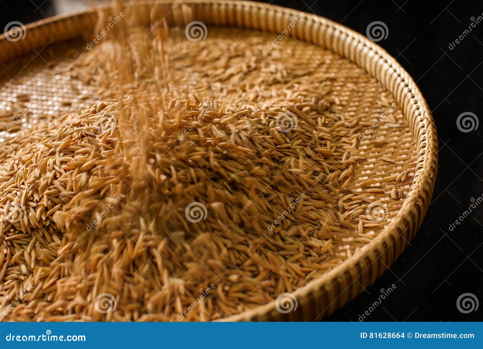 Paddy Rice in Basket - Poor Rice Stock Photo - Image of peak, mountain ...