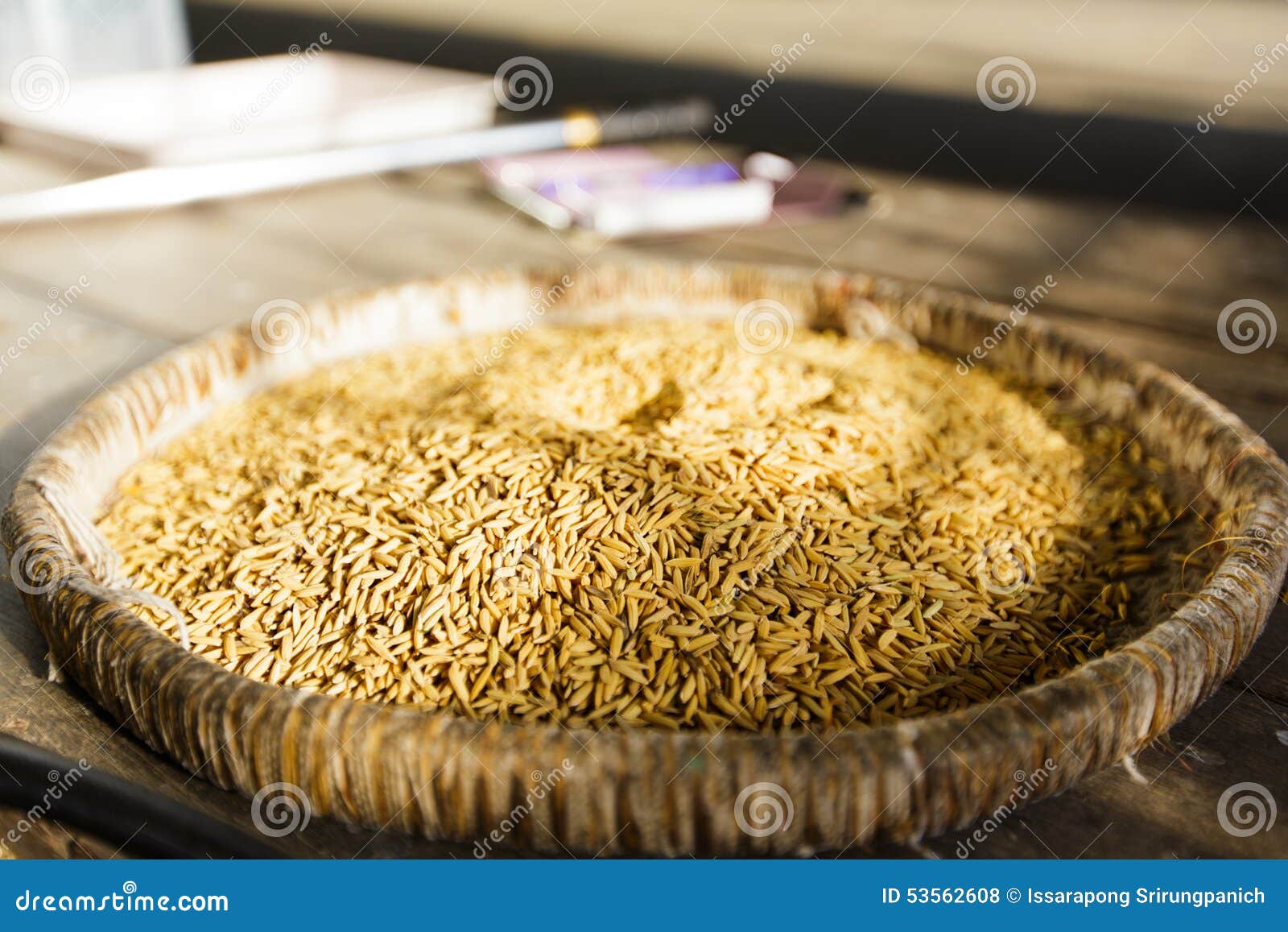 Paddy rice in basket stock photo. Image of holding, basket - 53562608