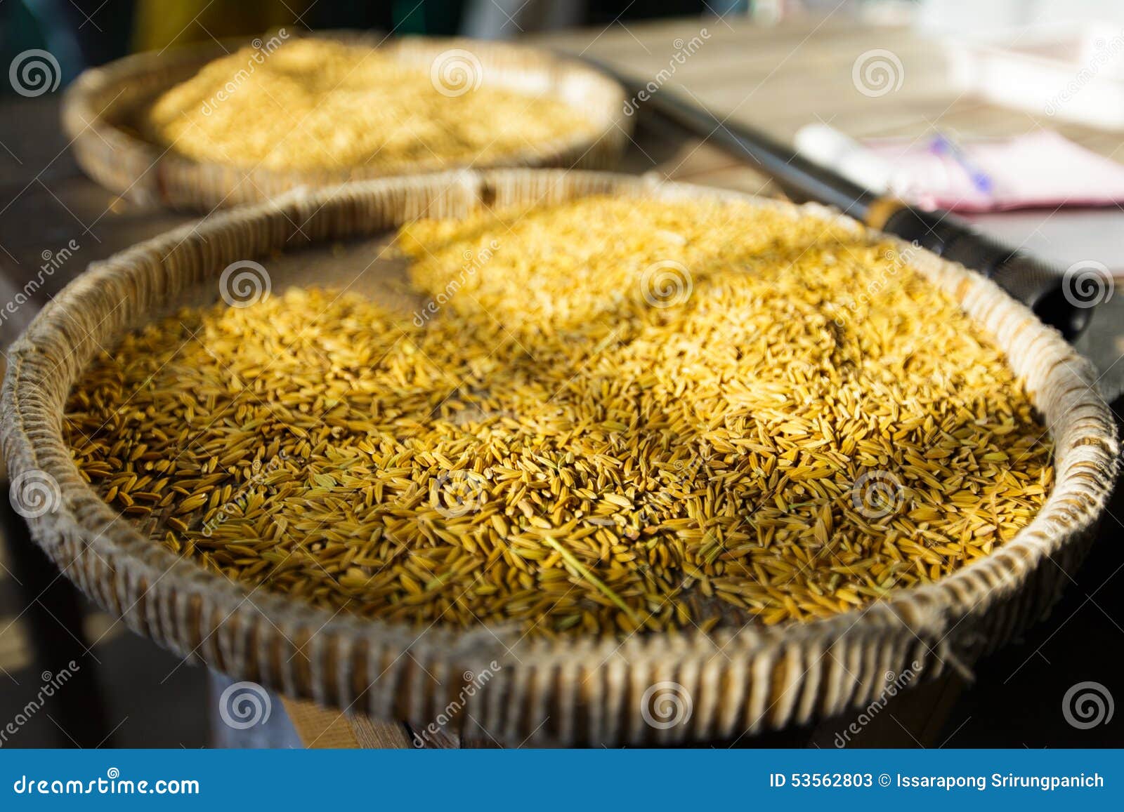 Paddy rice in basket stock image. Image of harvest, grained - 53562803