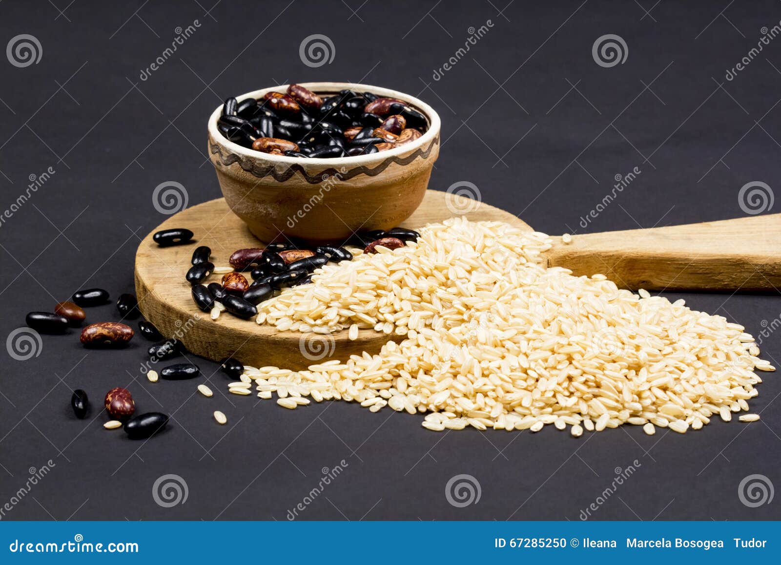 Paddy rice and beans stock photo. Image of environment - 67285250