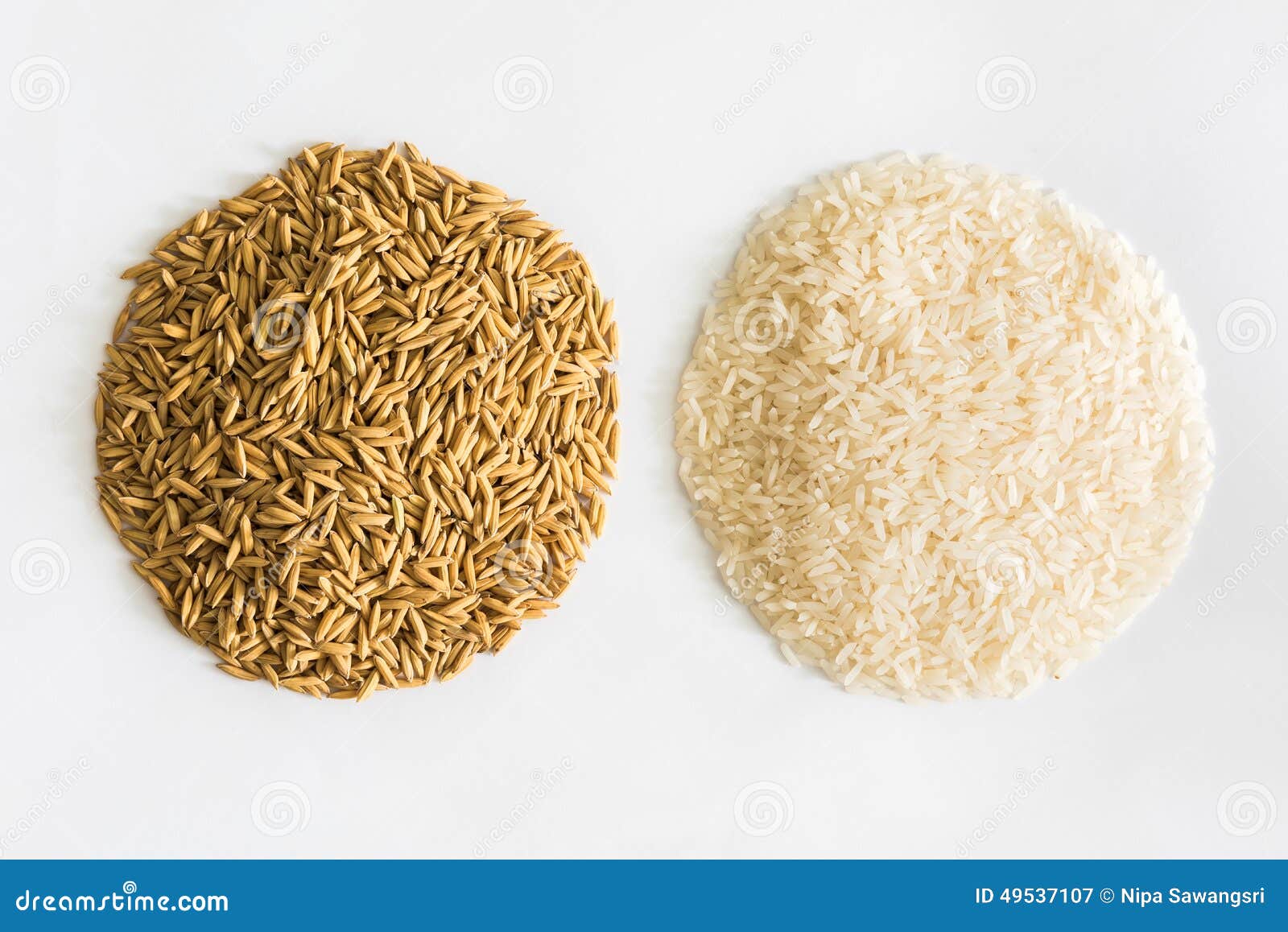 Paddy Rice,brown Rice,white Rice Stock Image - Image of cultivation ...