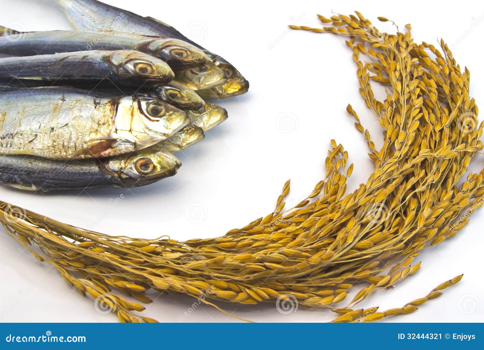 Paddy Rice and Dried Fish on White Background Stock Image - Image of ...