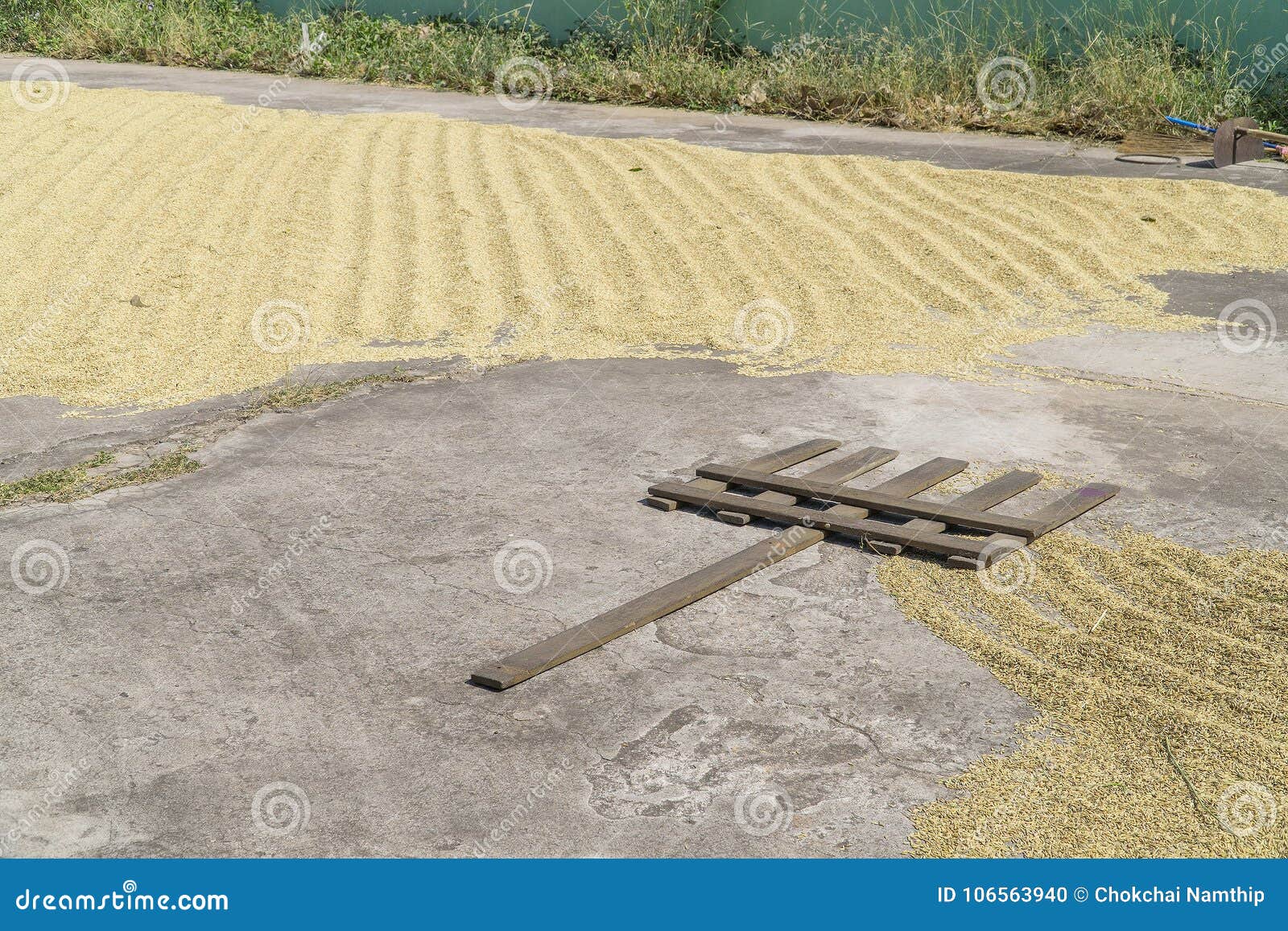 Drying Rice Rake Stock Photos - Free & Royalty-Free Stock Photos from ...