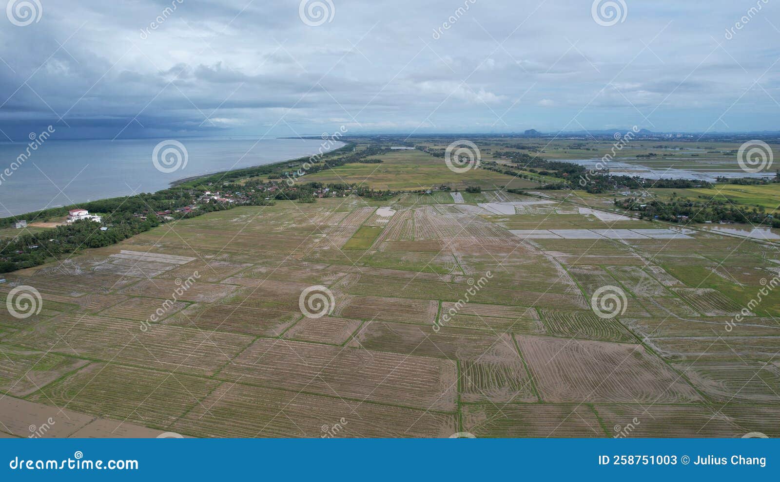 The Paddy Rice Fields of Kedah, Malaysia Stock Image - Image of golden ...