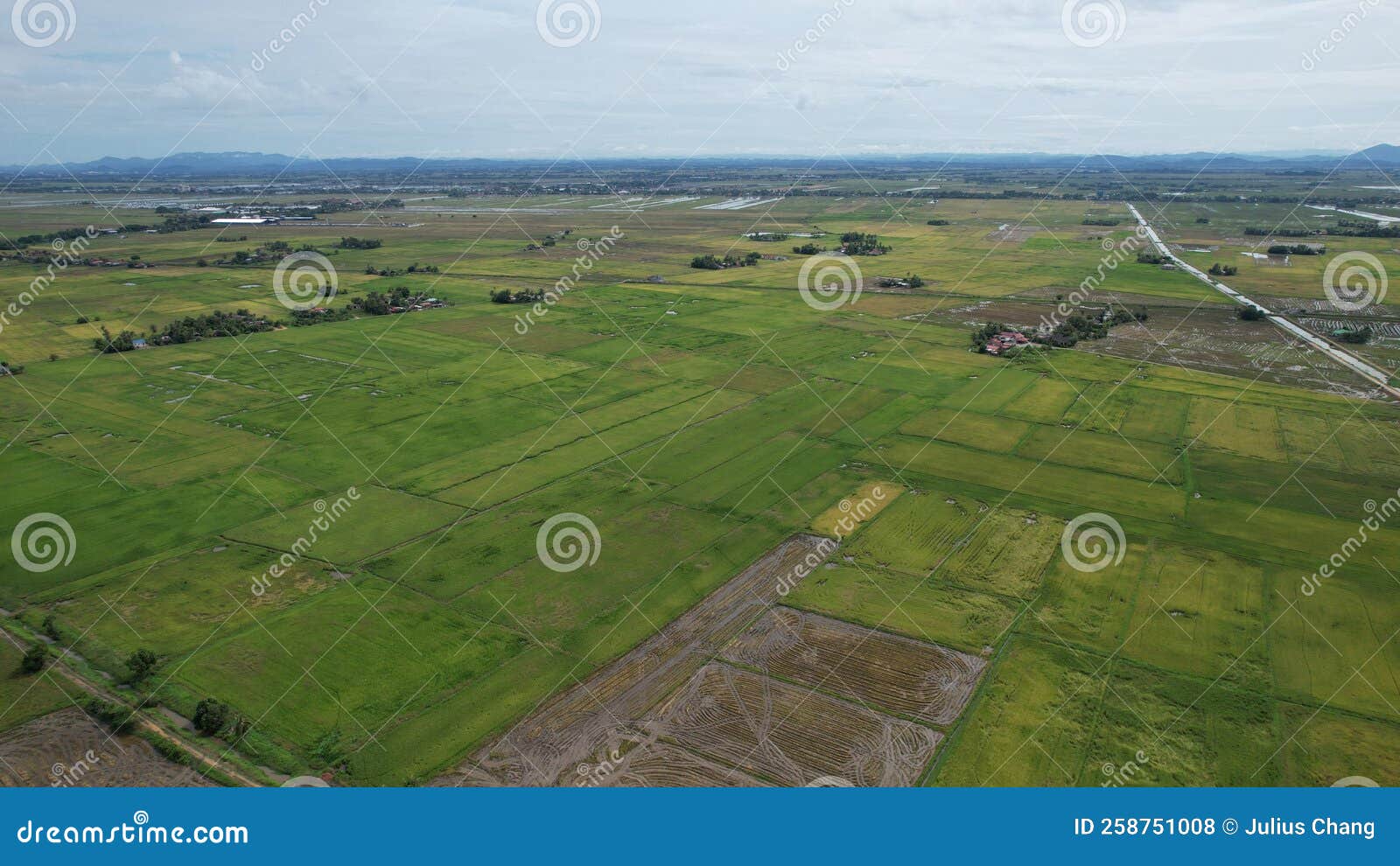 The Paddy Rice Fields of Kedah, Malaysia Stock Photo - Image of mixed ...