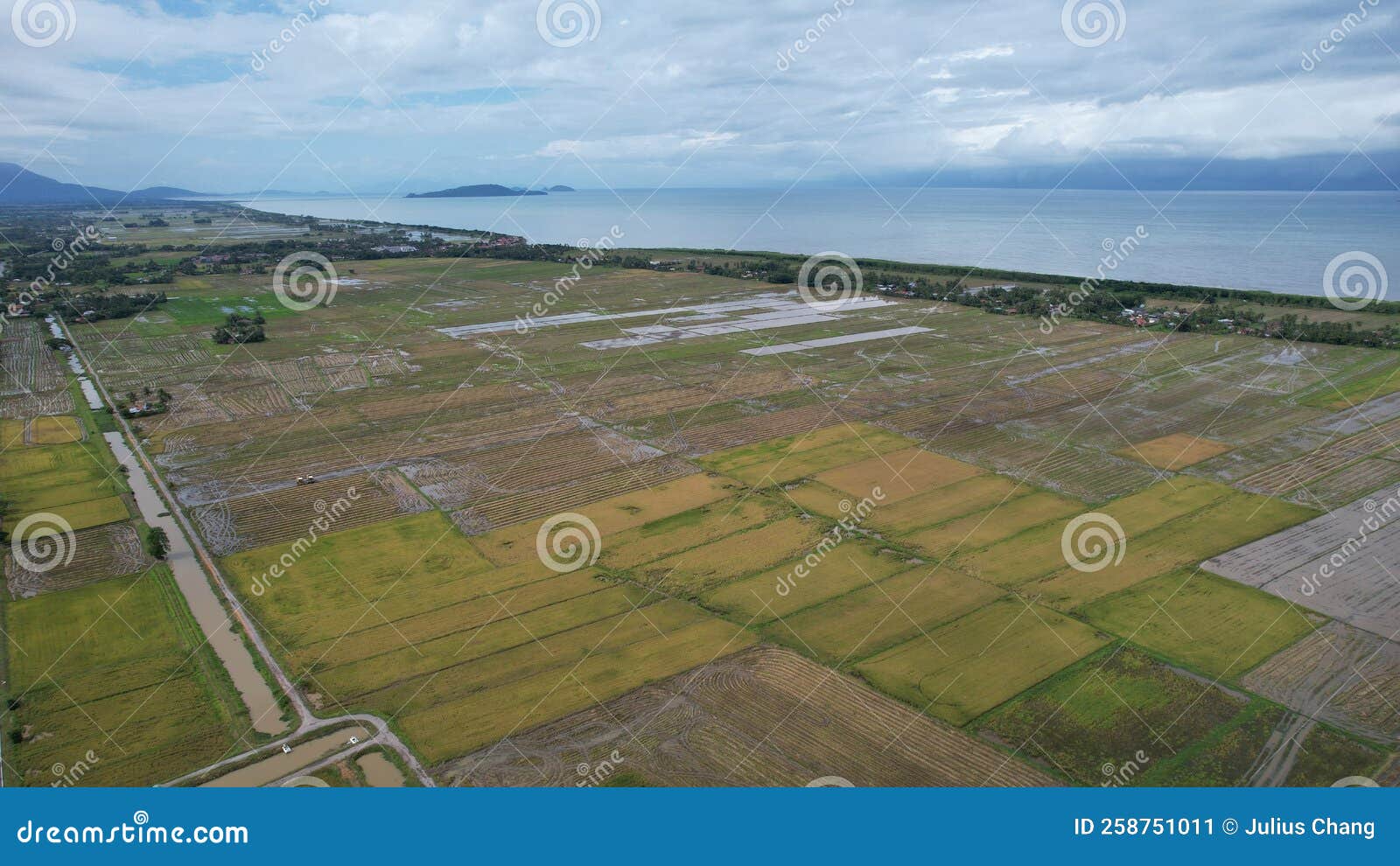 The Paddy Rice Fields of Kedah, Malaysia Stock Image - Image of default ...