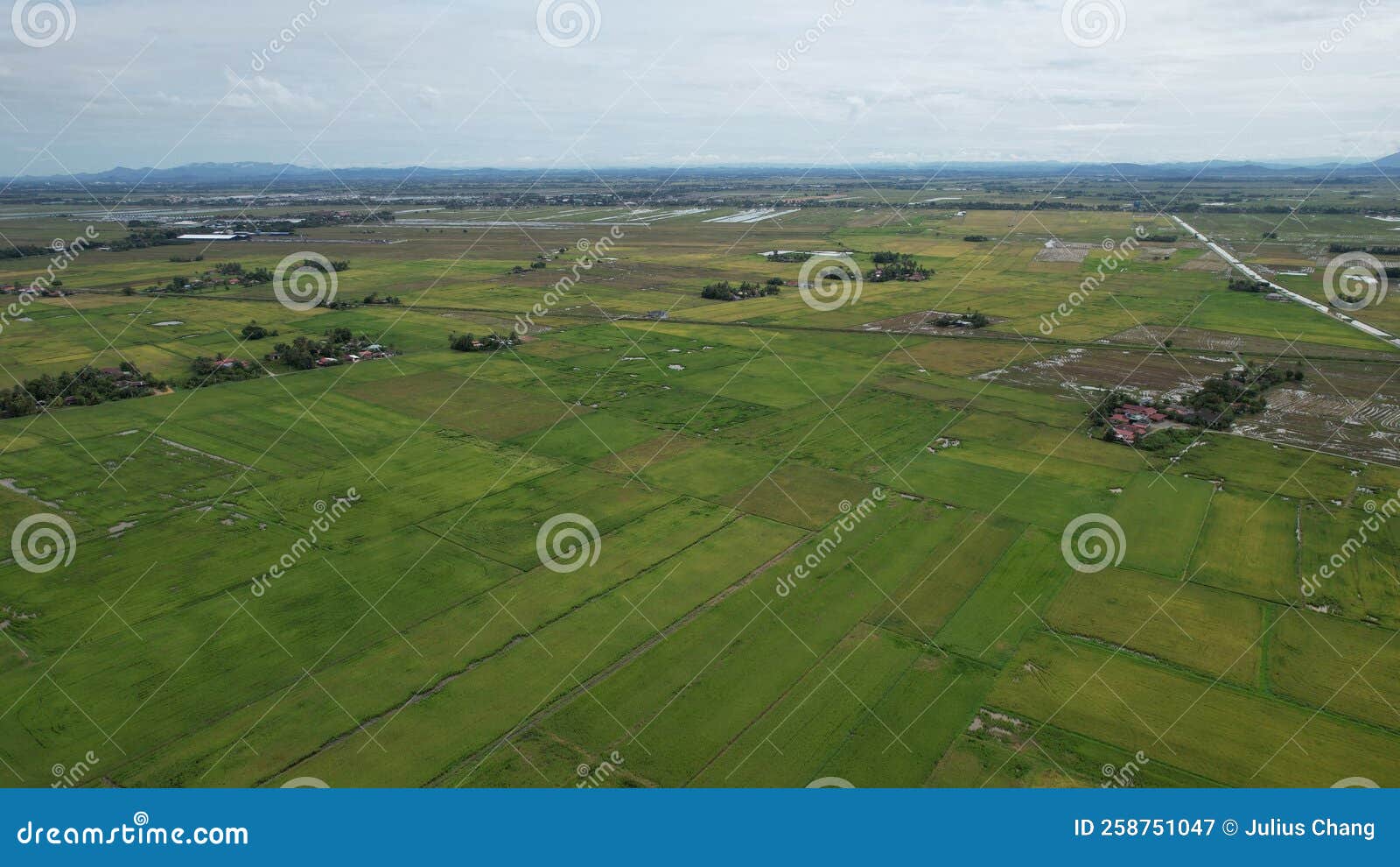 The Paddy Rice Fields of Kedah, Malaysia Stock Image - Image of ...