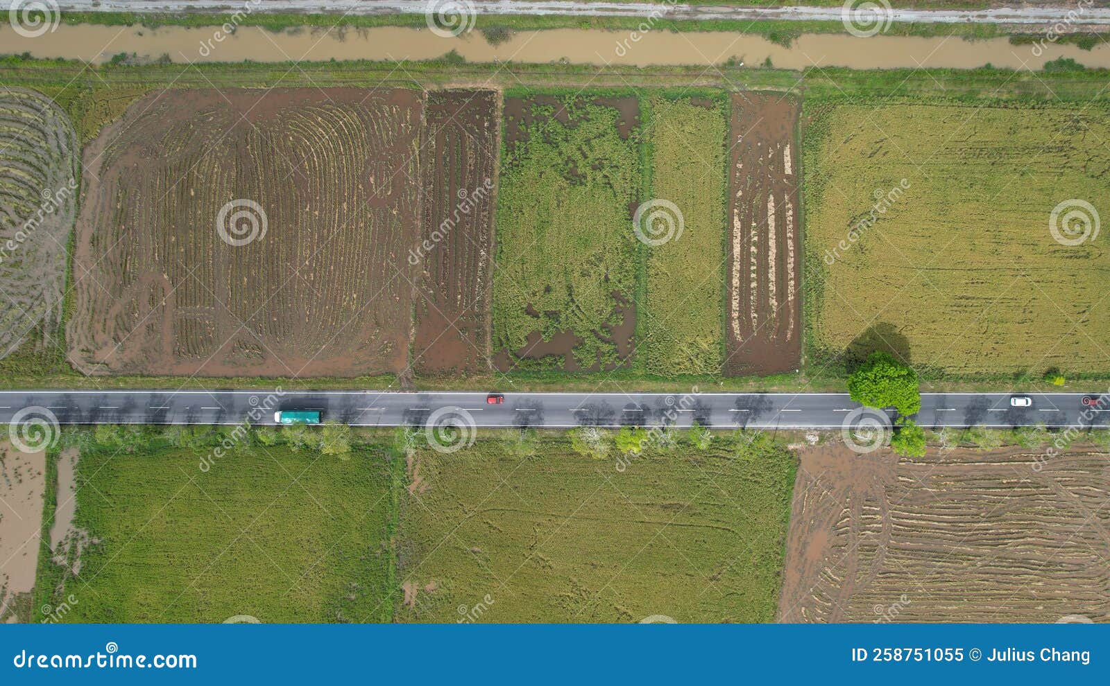 The Paddy Rice Fields of Kedah, Malaysia Stock Image - Image of blue ...
