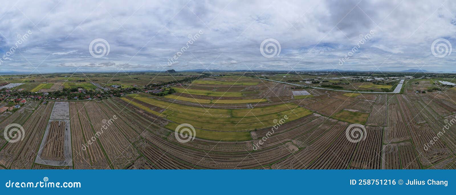 The Paddy Rice Fields of Kedah, Malaysia Stock Photo - Image of default ...