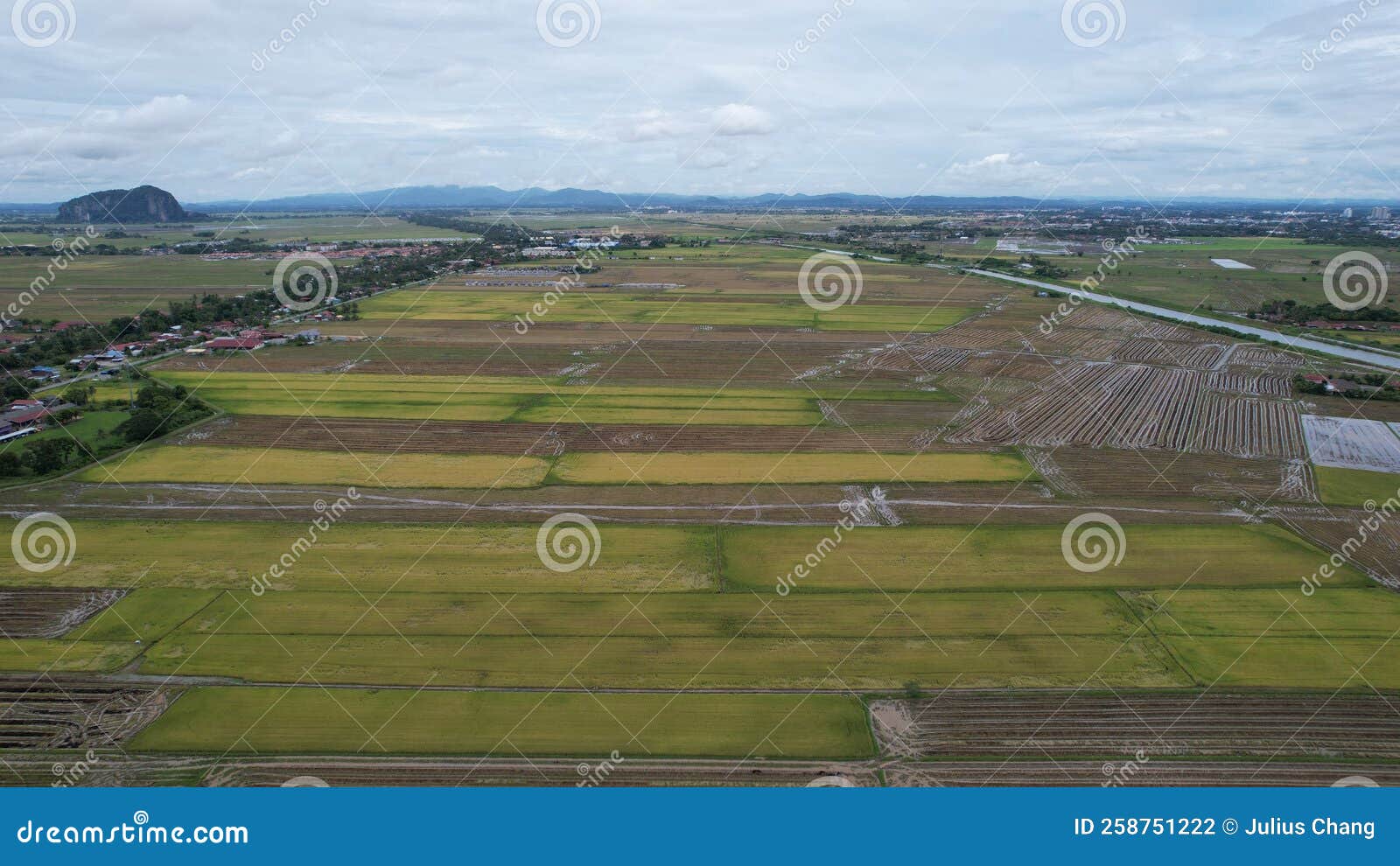 The Paddy Rice Fields of Kedah, Malaysia Stock Photo - Image of farming ...