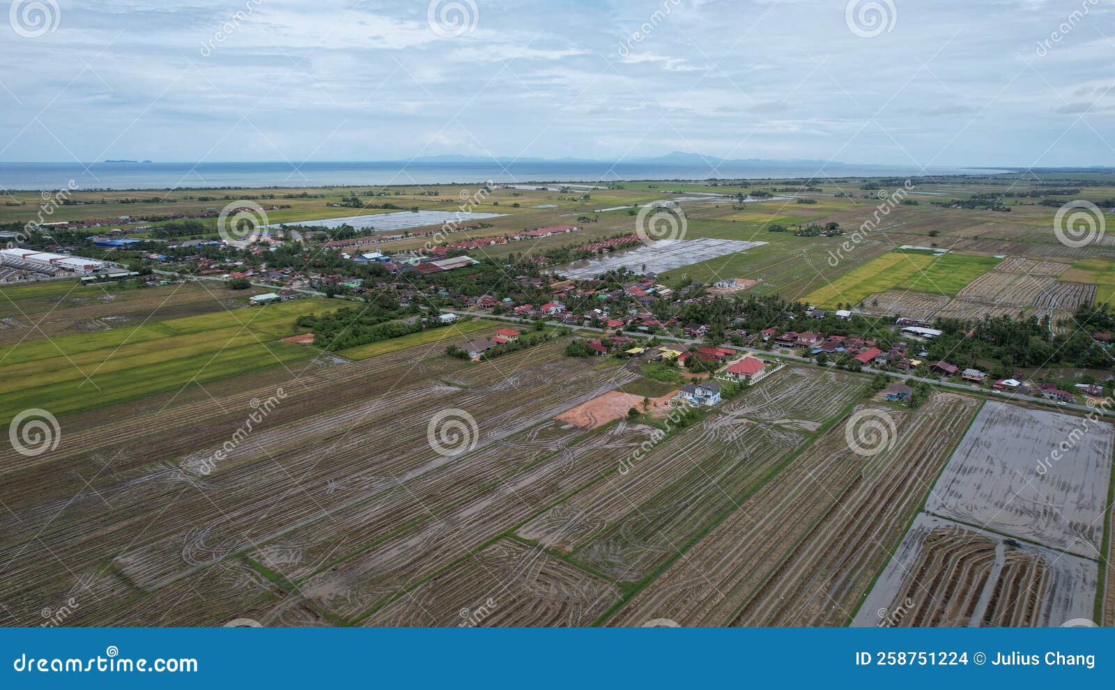The Paddy Rice Fields of Kedah, Malaysia Stock Photo - Image of ...