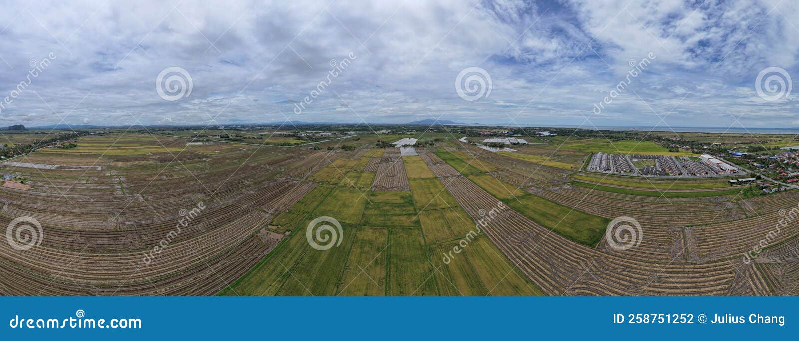 The Paddy Rice Fields of Kedah, Malaysia Stock Photo - Image of asia ...