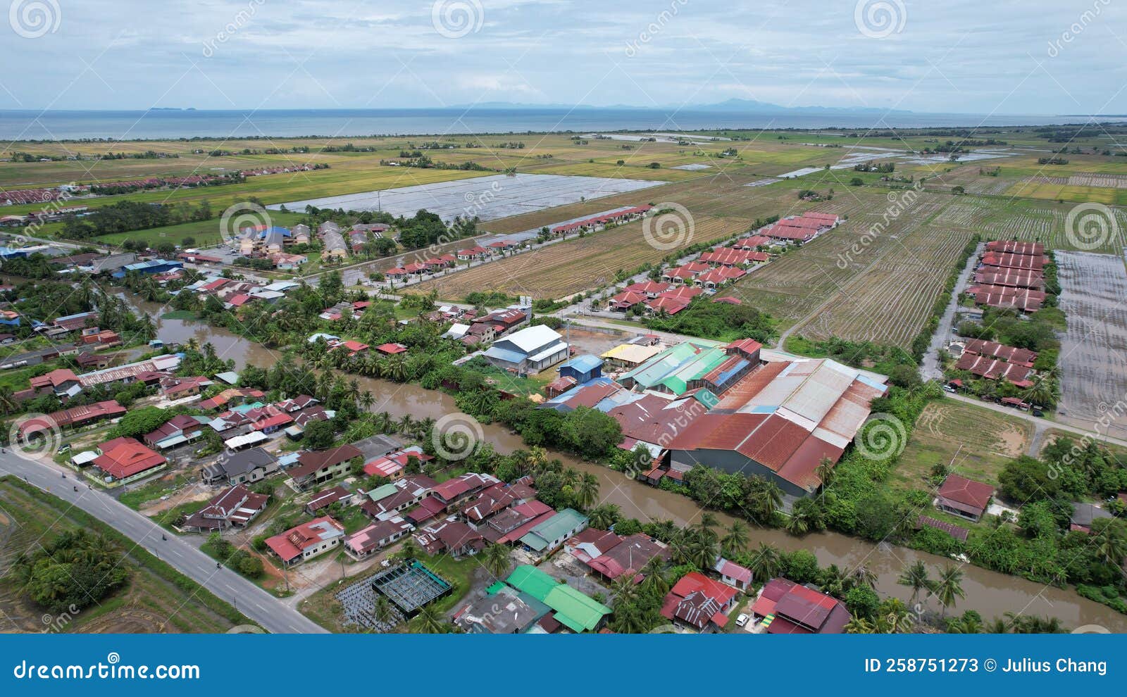 The Paddy Rice Fields of Kedah, Malaysia Stock Image - Image of mixed ...