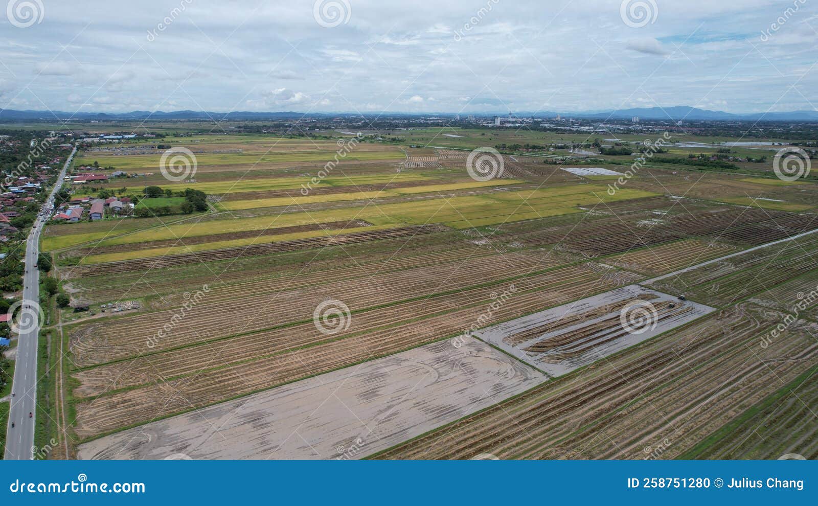 The Paddy Rice Fields of Kedah, Malaysia Stock Photo - Image of husk ...