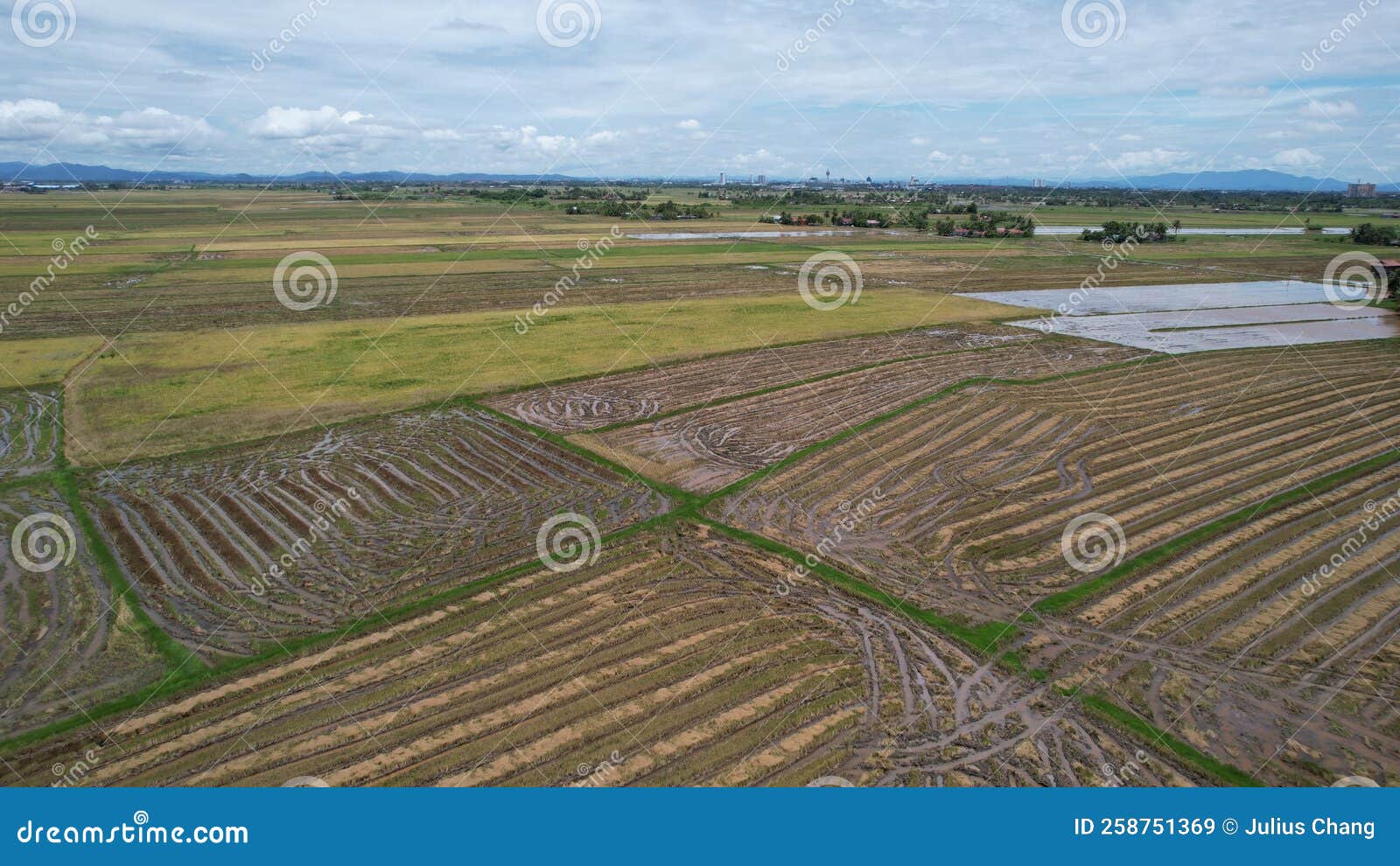 The Paddy Rice Fields of Kedah, Malaysia Stock Image - Image of lagoon ...