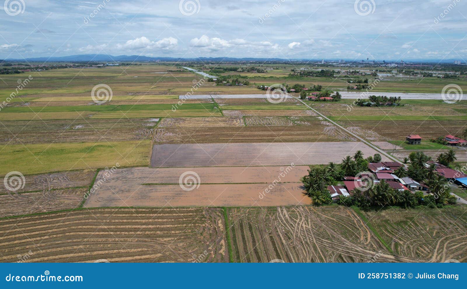 The Paddy Rice Fields of Kedah, Malaysia Stock Photo - Image of ...