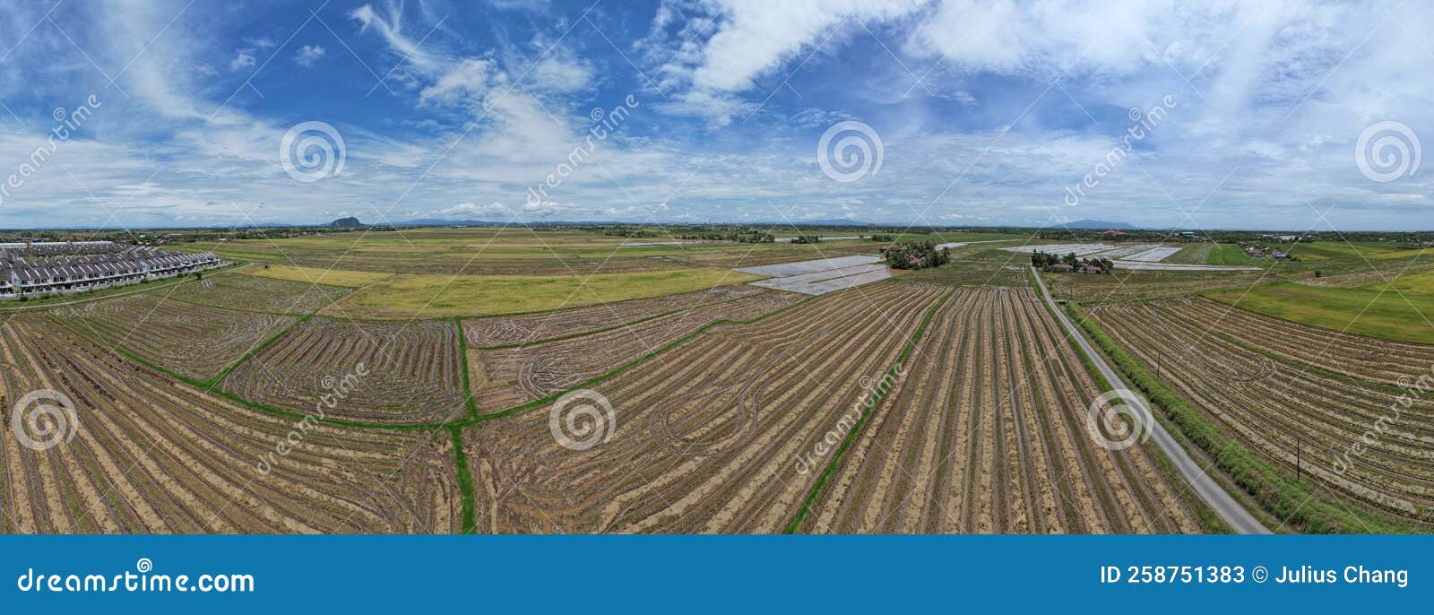 The Paddy Rice Fields of Kedah, Malaysia Stock Image - Image of harvest ...