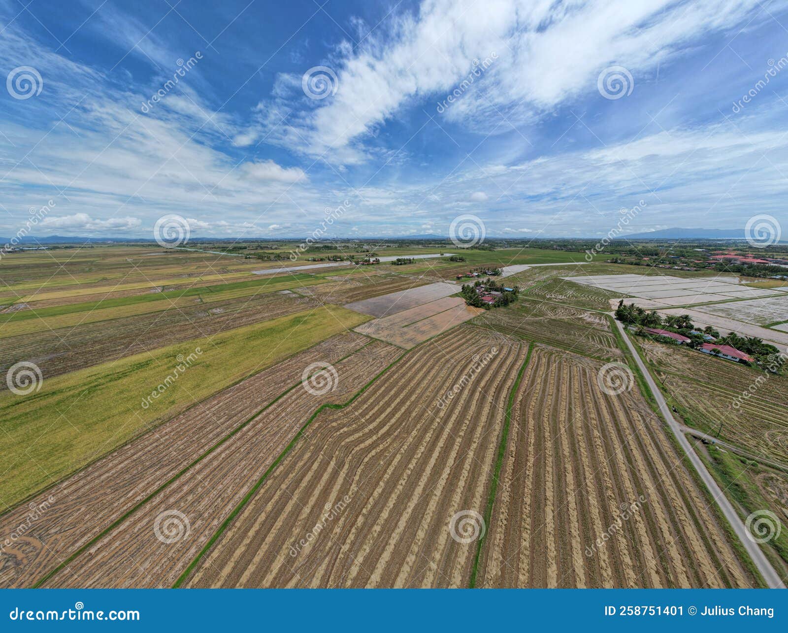 The Paddy Rice Fields of Kedah, Malaysia Stock Image - Image of farming ...