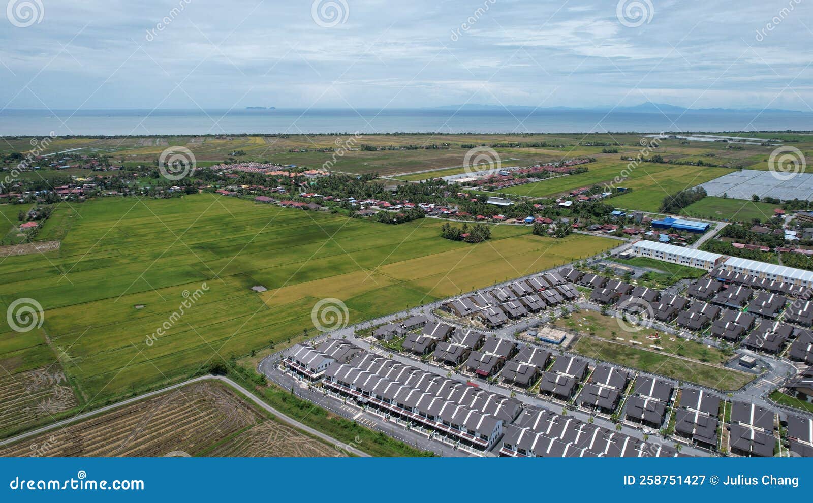 The Paddy Rice Fields of Kedah, Malaysia Stock Image - Image of field ...