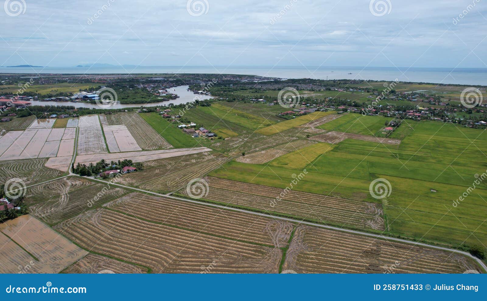 The Paddy Rice Fields of Kedah, Malaysia Stock Image - Image of asia ...