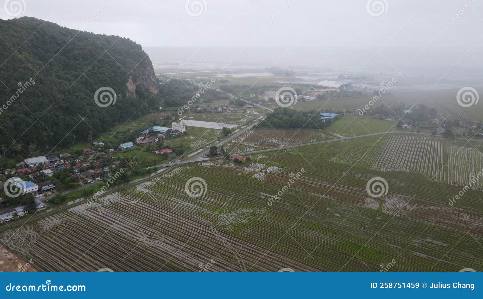 The Paddy Rice Fields of Kedah, Malaysia Stock Image - Image of lagoon ...