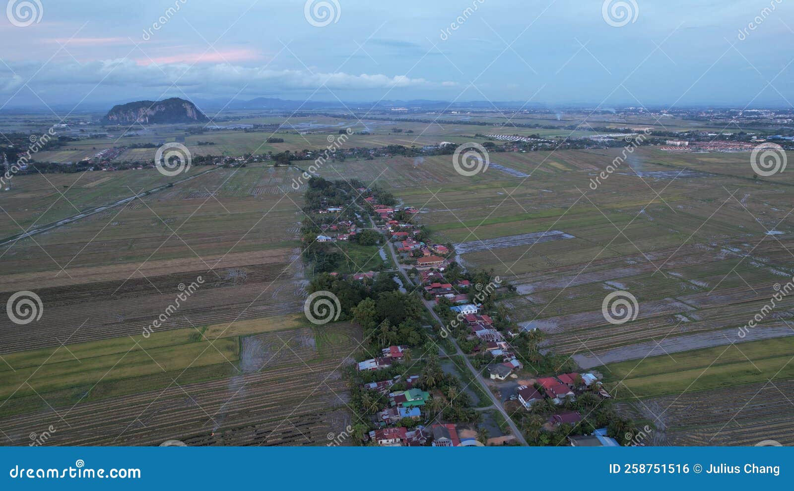 The Paddy Rice Fields of Kedah, Malaysia Stock Photo - Image of asia ...