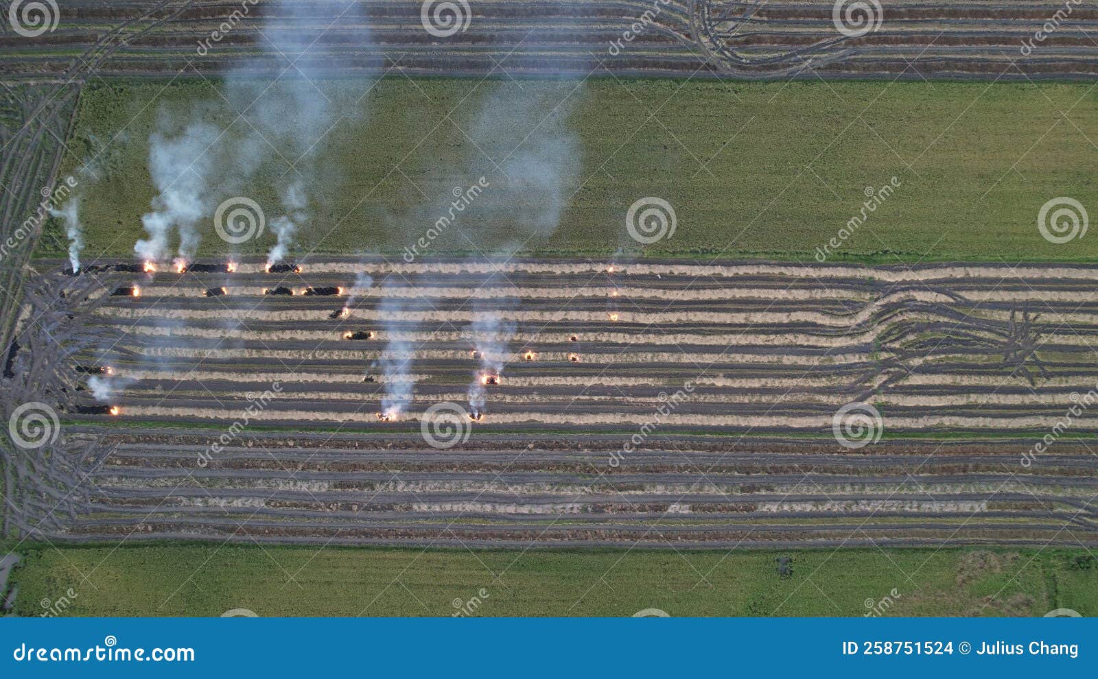The Paddy Rice Fields of Kedah, Malaysia Stock Photo - Image of kedah ...