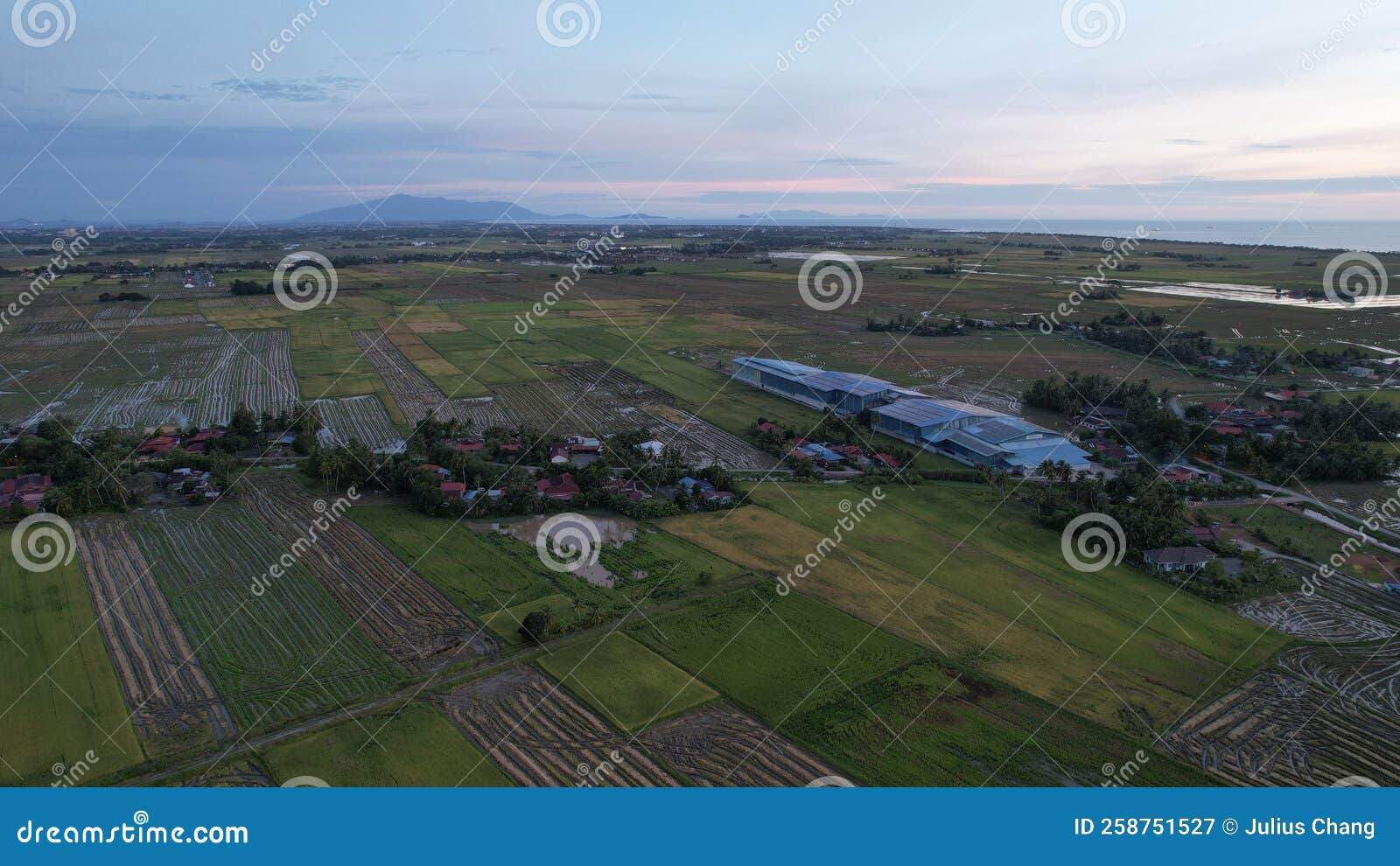 The Paddy Rice Fields of Kedah, Malaysia Stock Image - Image of green ...