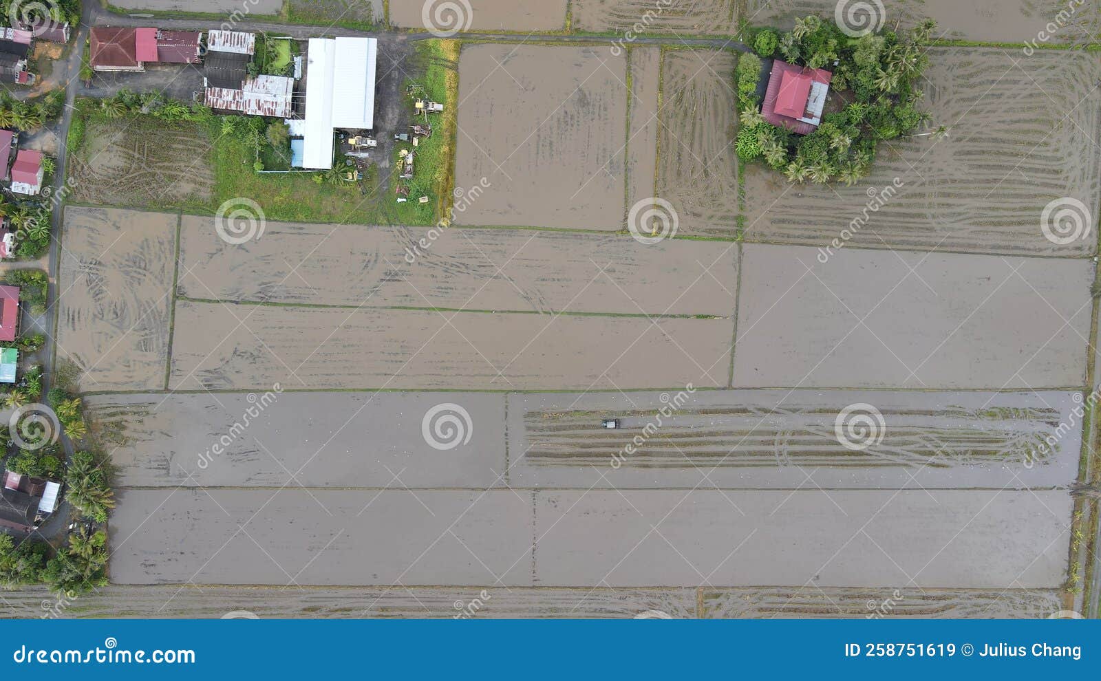 The Paddy Rice Fields of Kedah, Malaysia Stock Image - Image of aerial ...