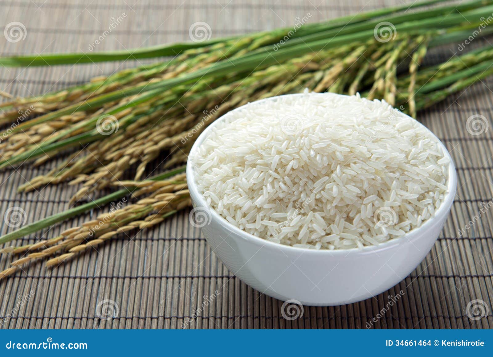 Paddy and rice grain stock photo. Image of crop, agriculture - 34661464