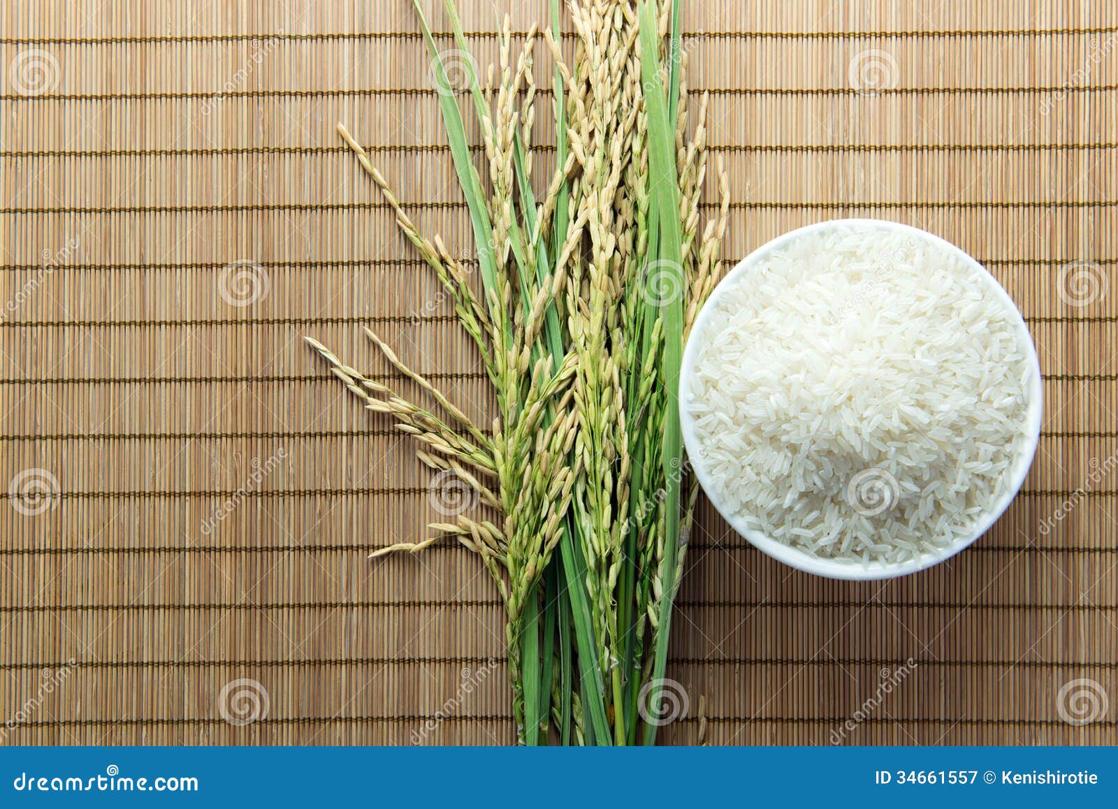 Paddy and rice grain stock image. Image of bowl, plant - 34661557