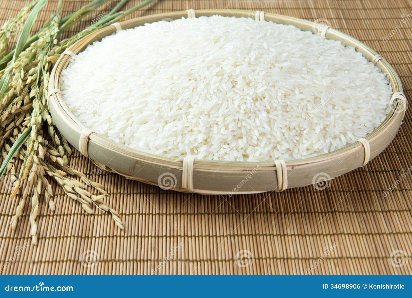 Paddy and rice grain stock photo. Image of nature, diet - 34698906