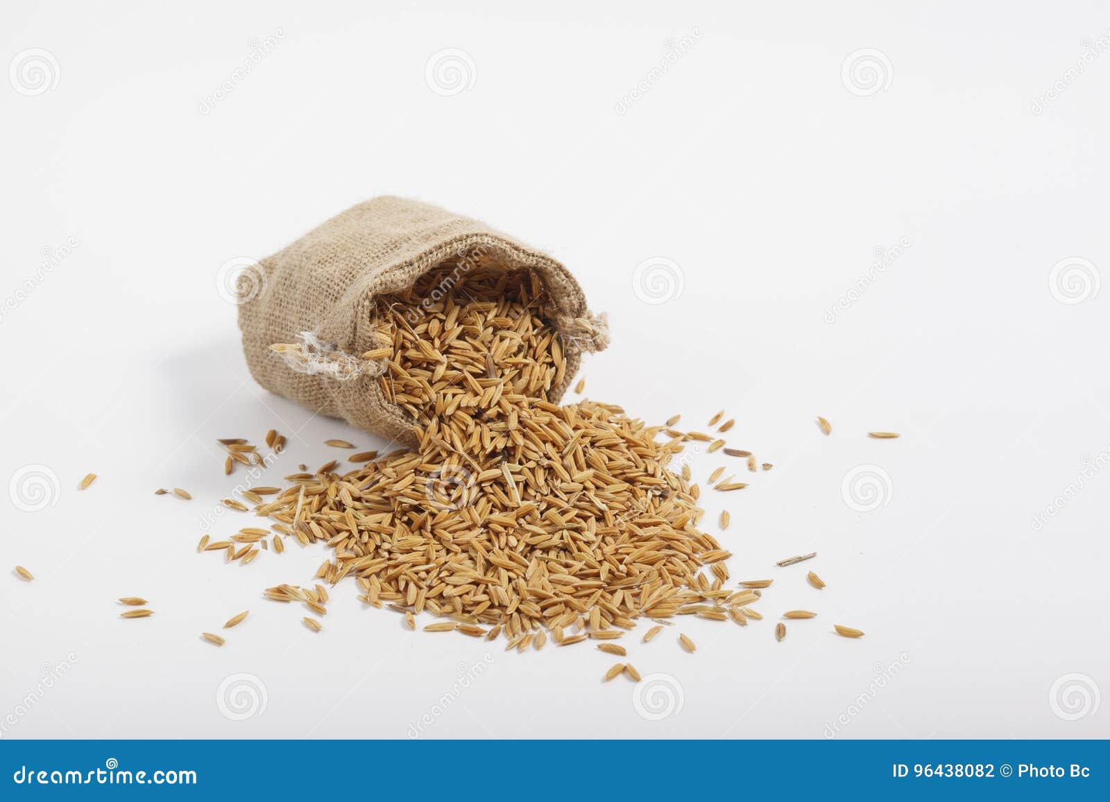 Paddy rice stock photo. Image of grain, gold, rice, paddy - 96438082