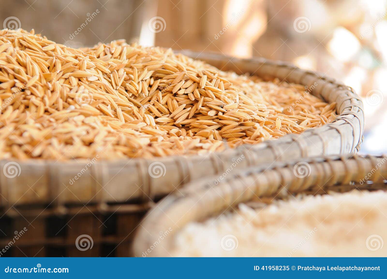 Paddy Rice and Rice in Bamboo Basket Stock Image - Image of basket ...