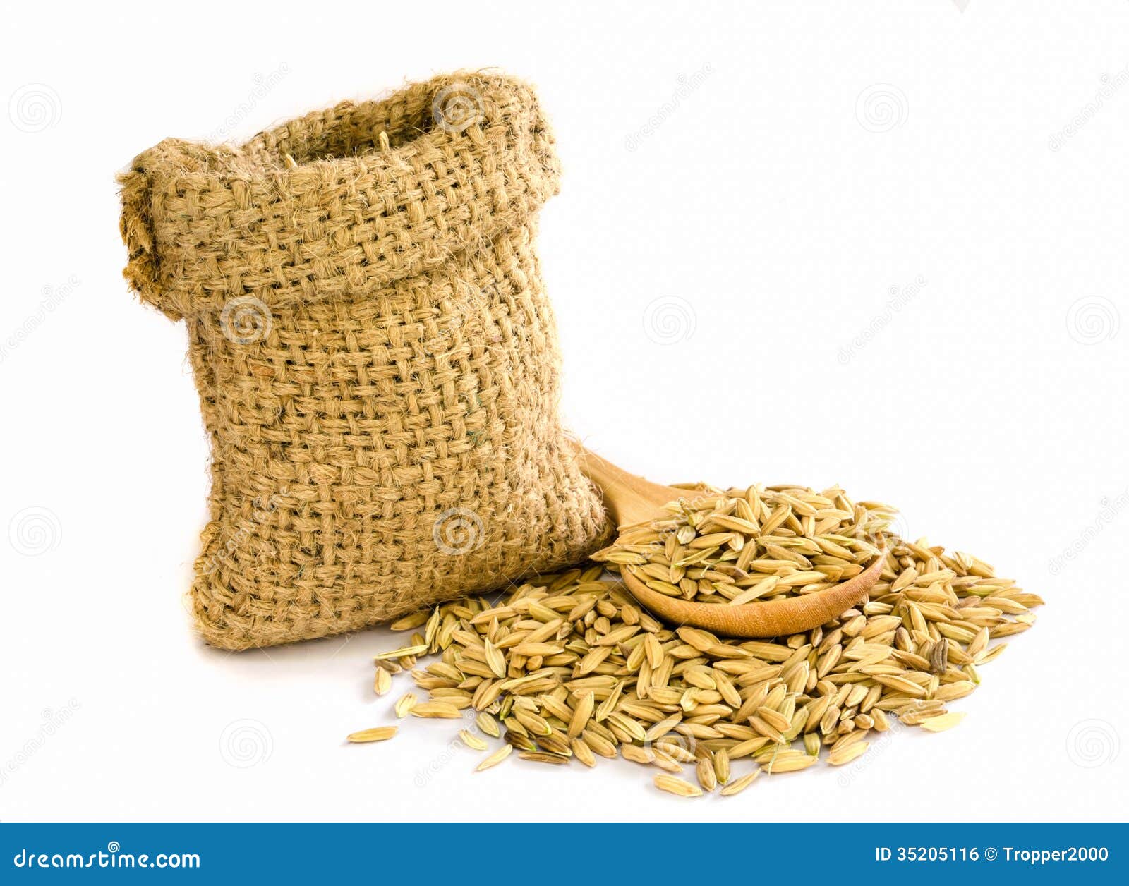 Paddy rice seed. stock photo. Image of fiber, growth - 35205116
