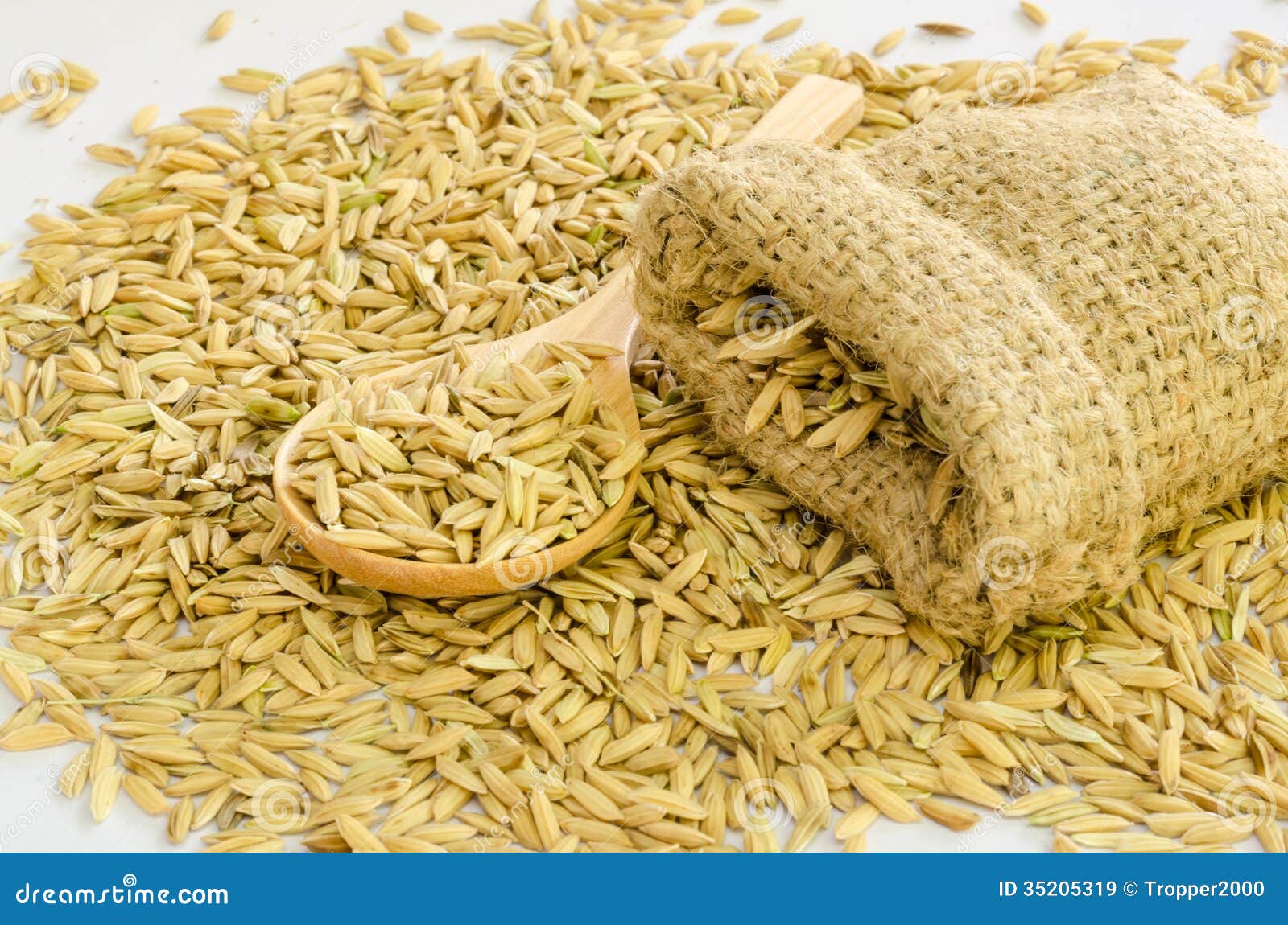 Rice Seed. Royalty-Free Stock Photography | CartoonDealer.com #35205047